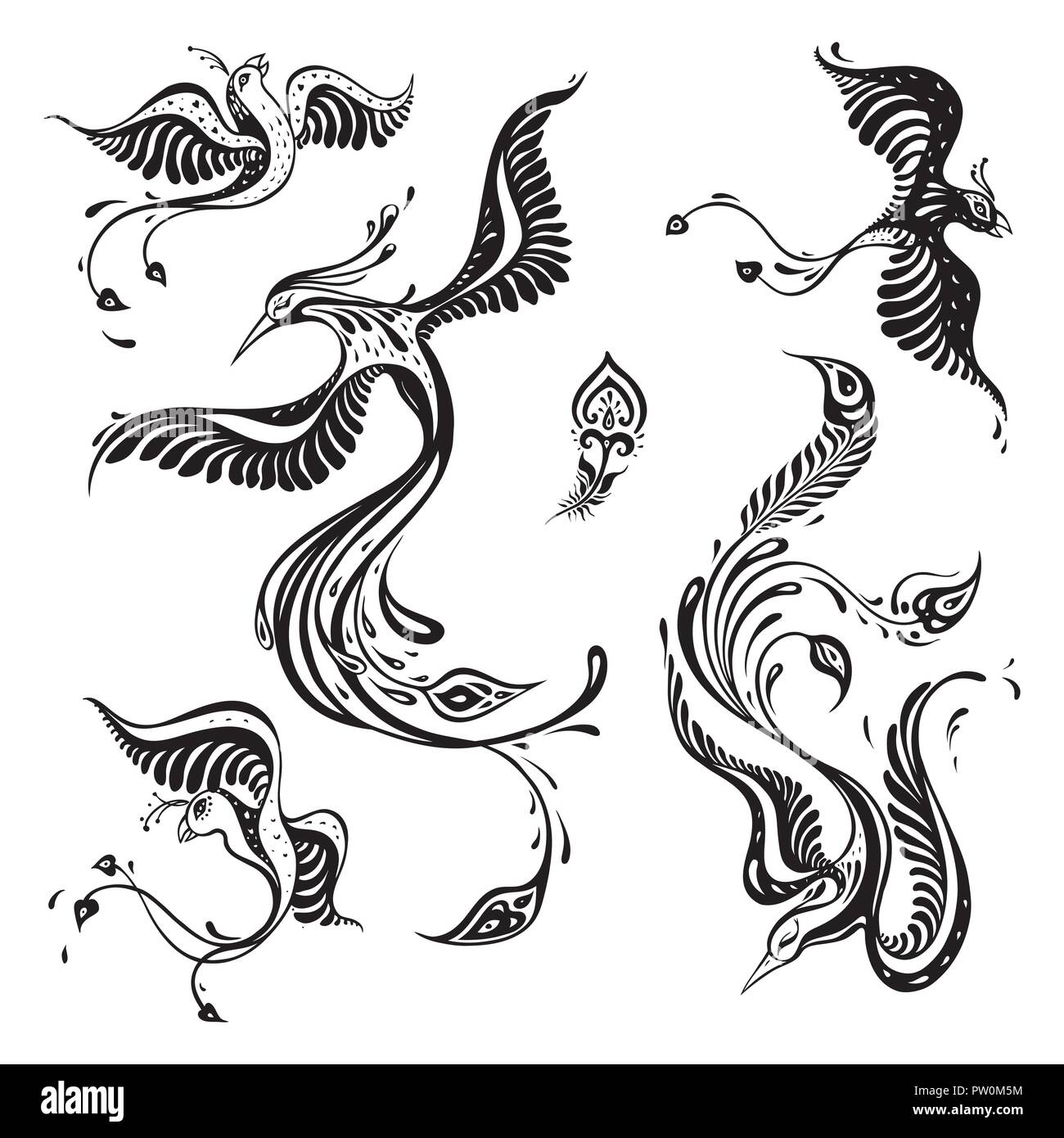Beautiful Peacock Set Stock Vector Image And Art Alamy