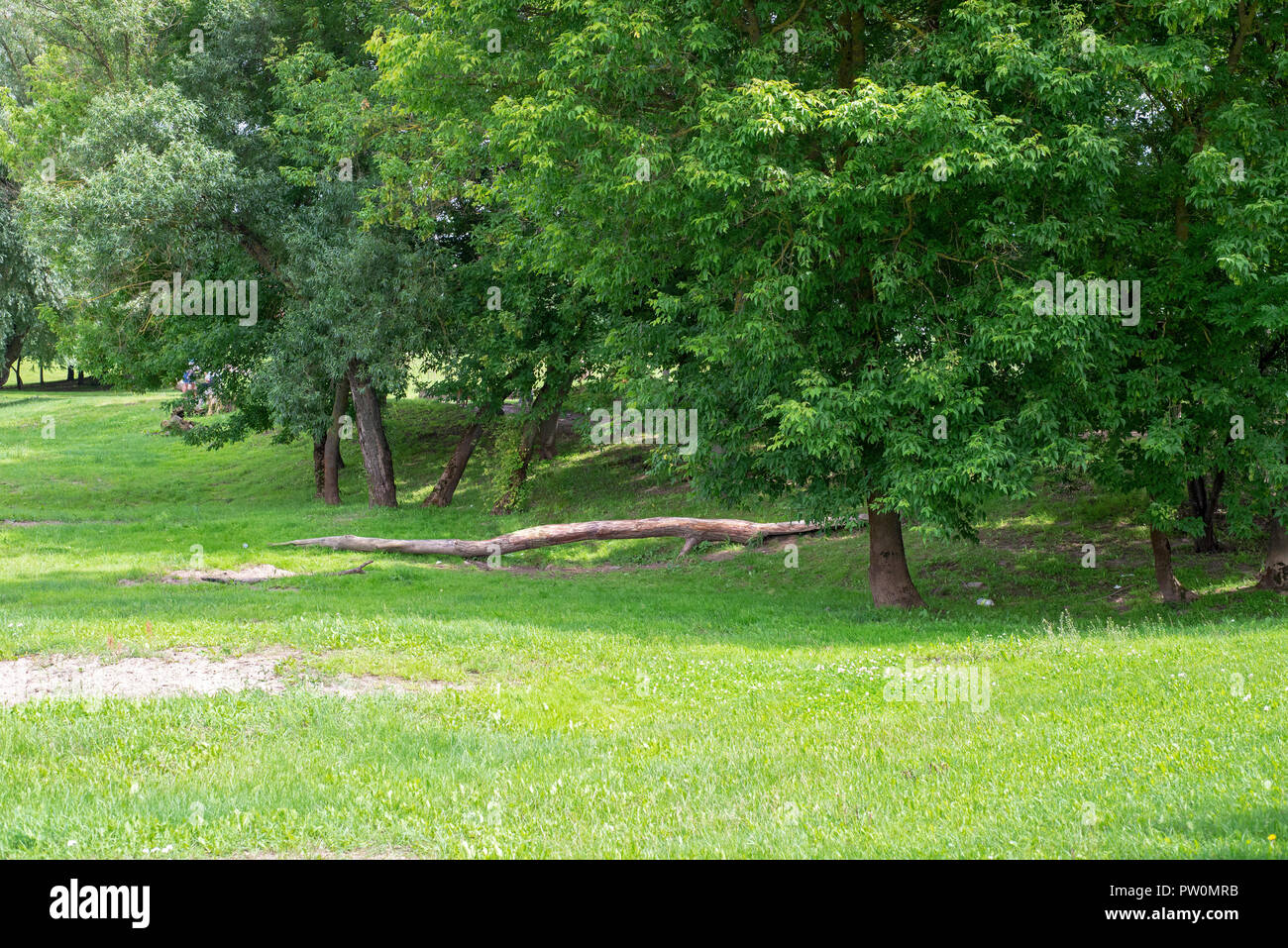 Fallen down tree hi-res stock photography and images - Alamy
