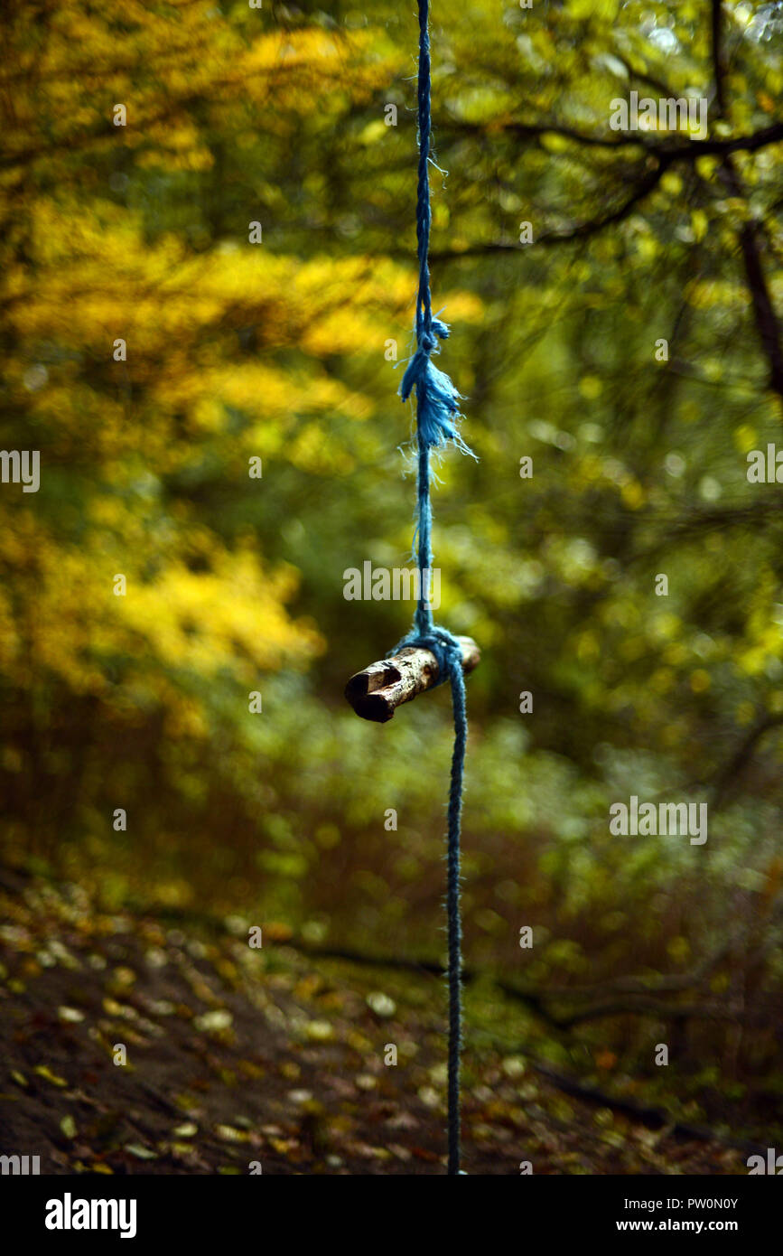 Rope stick tree hi-res stock photography and images - Alamy