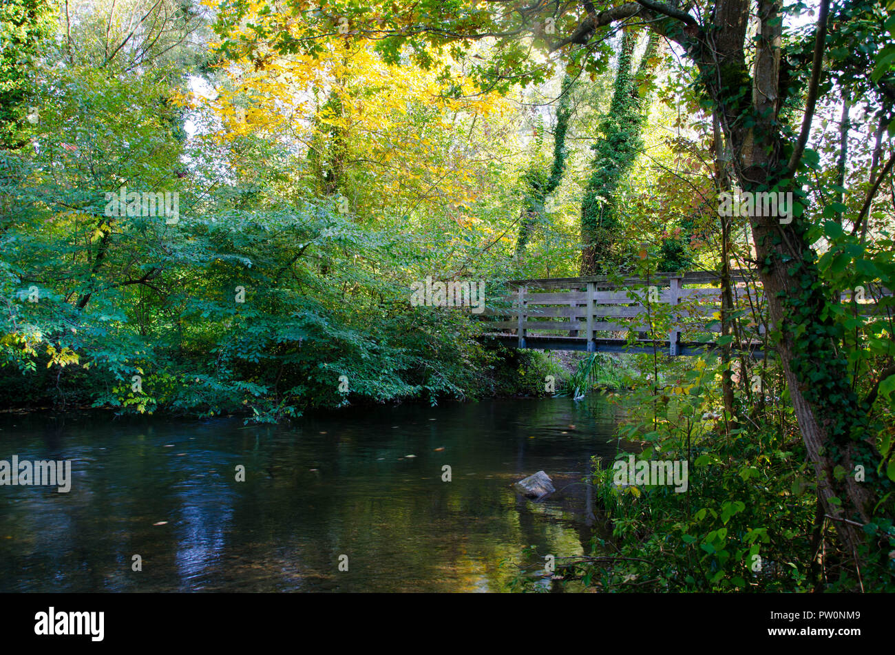 The island "Ile de Gerstheim" in the wetlands of the rhine river In ...