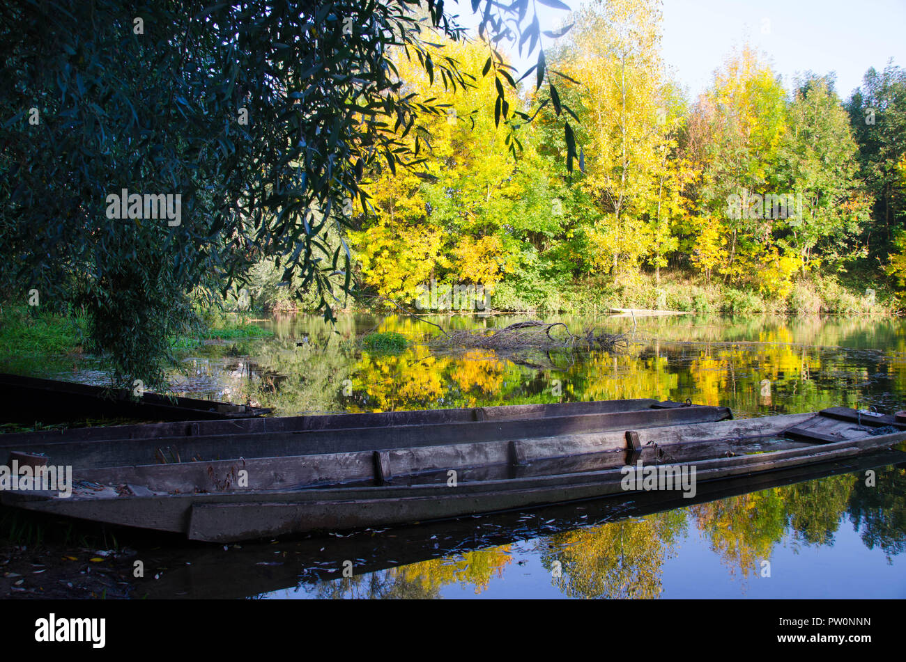 The island "Ile de Gerstheim" in the wetlands of the rhine river In ...