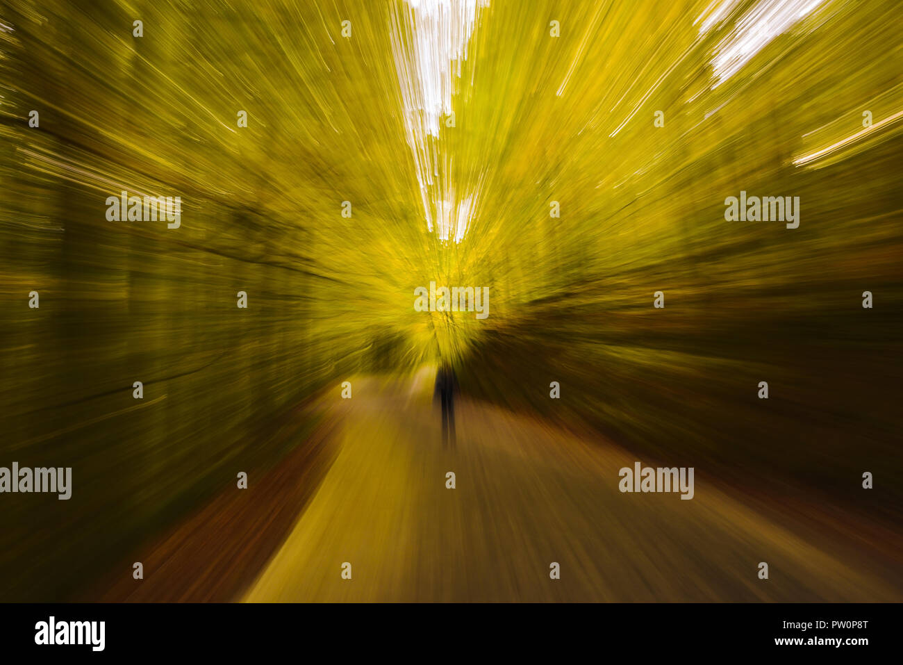 Abstract Blurry Yellow Fall Forest - Look Like Time Travel or ...