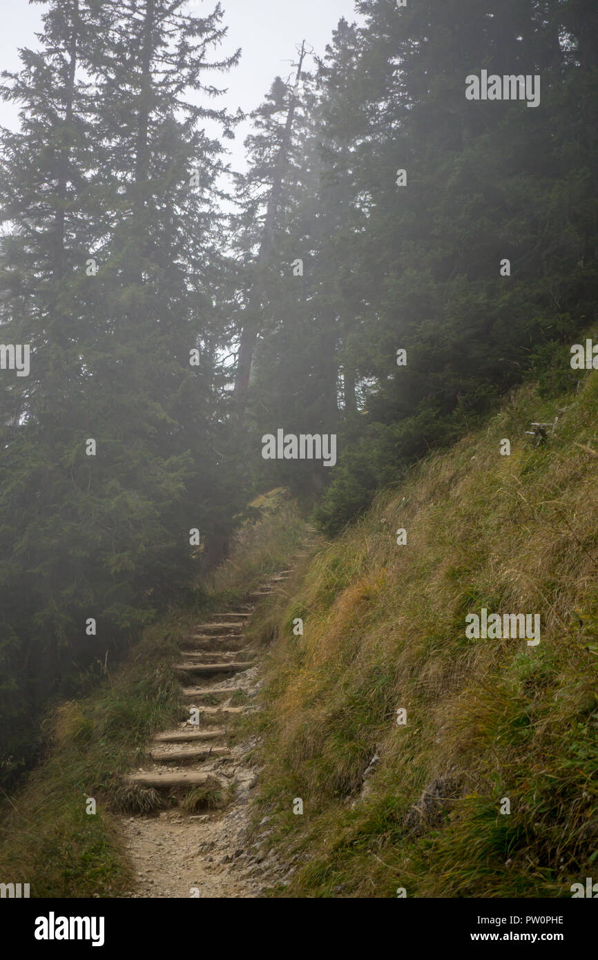 Small walking path hi-res stock photography and images - Alamy