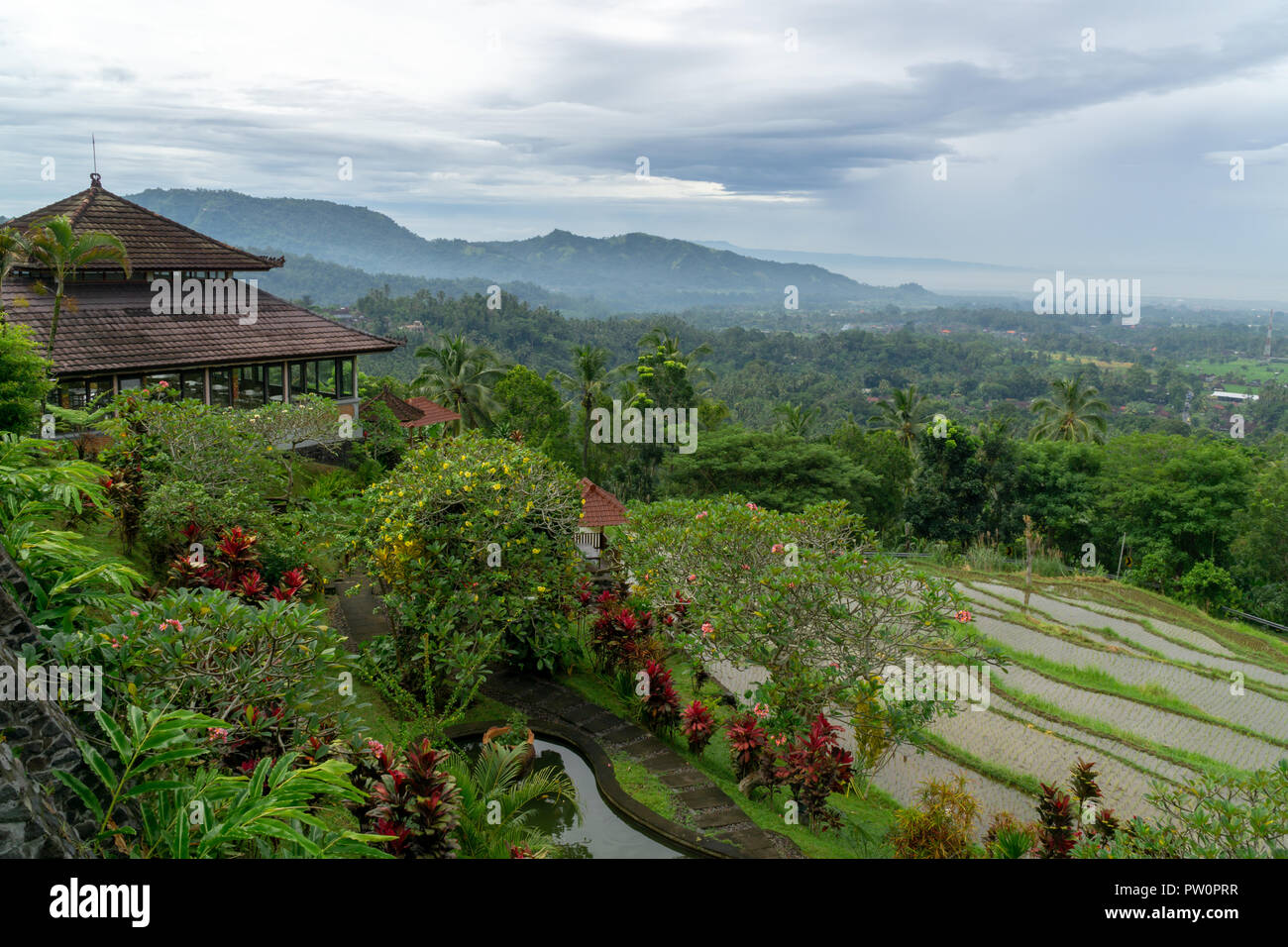 Rice terraces during spring time in Bali, Indonesia Stock Photo - Alamy