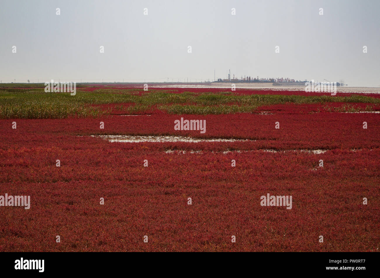 Red sea beach china hi-res stock photography and images - Alamy