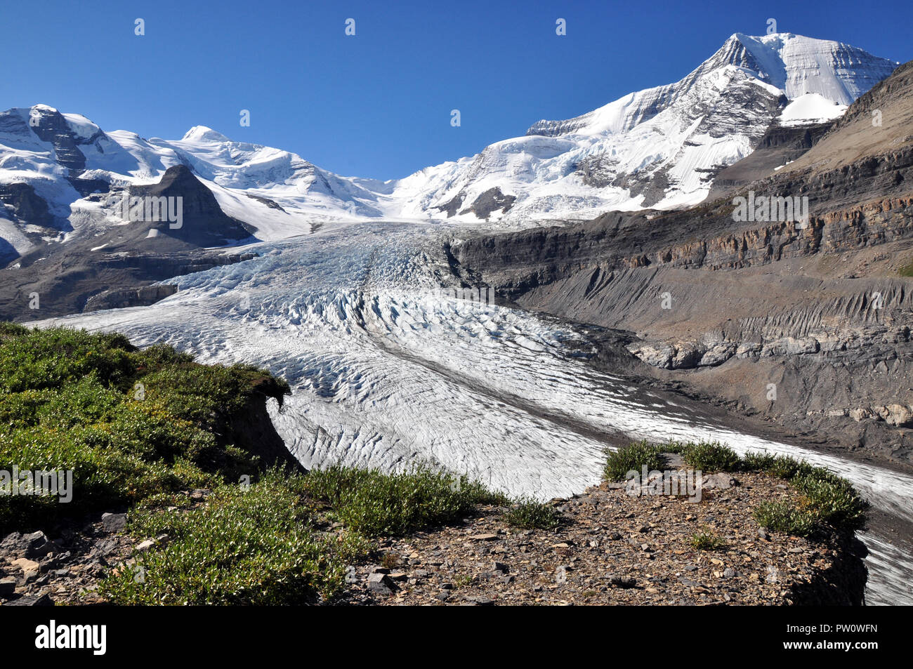 Mount Robson Provincial Park, British Columbia, Canada Stock Photo - Alamy