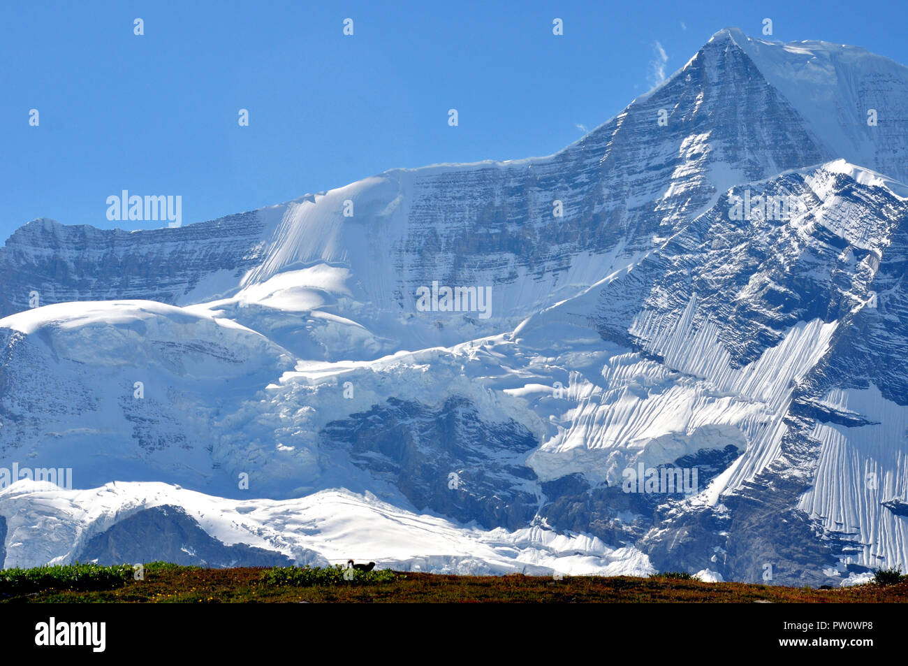 Mount Robson Provincial Park, British Columbia, Canada Stock Photo - Alamy