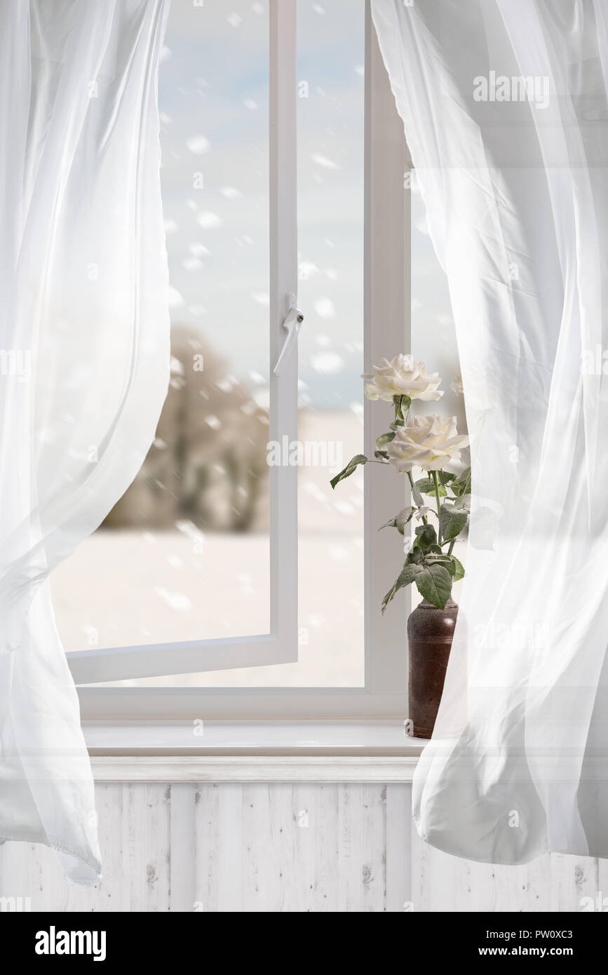 White roses in window with snowy landscape Stock Photo - Alamy
