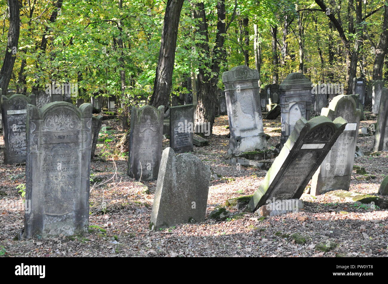 Cmentarz zydowski w lodzi hi-res stock photography and images - Alamy