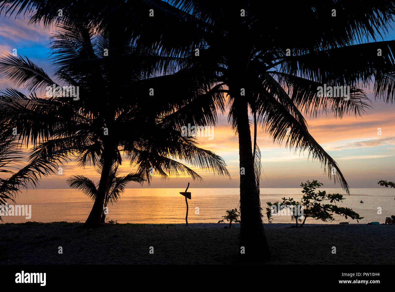 Thailand Koh Phangan island sunset palms Stock Photo - Alamy