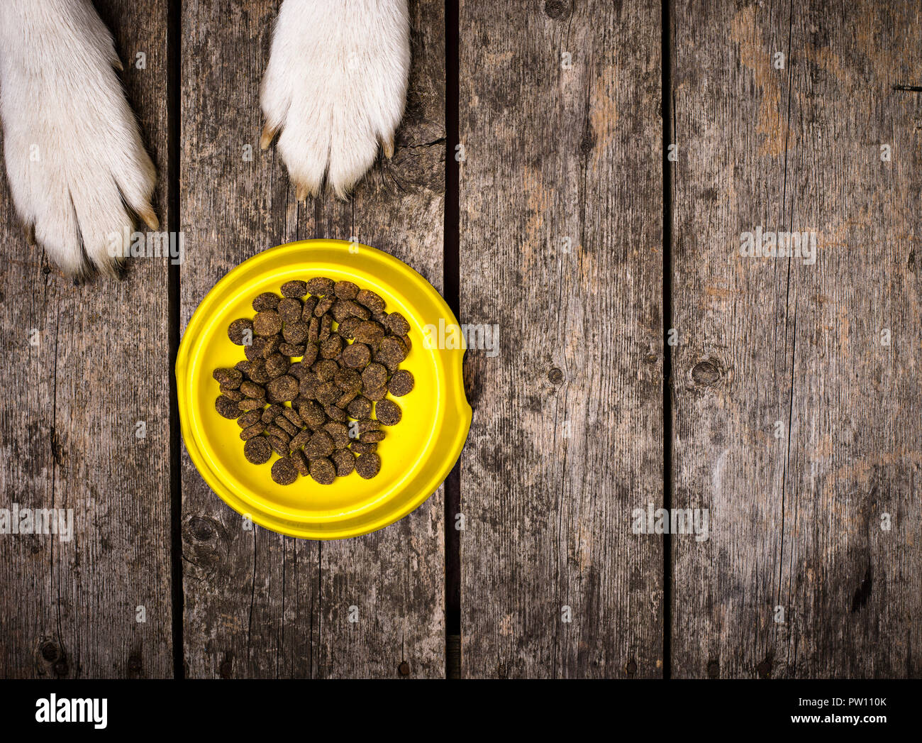 Dogs paws and bowl of dry nutrition. Pet food concept Stock Photo - Alamy