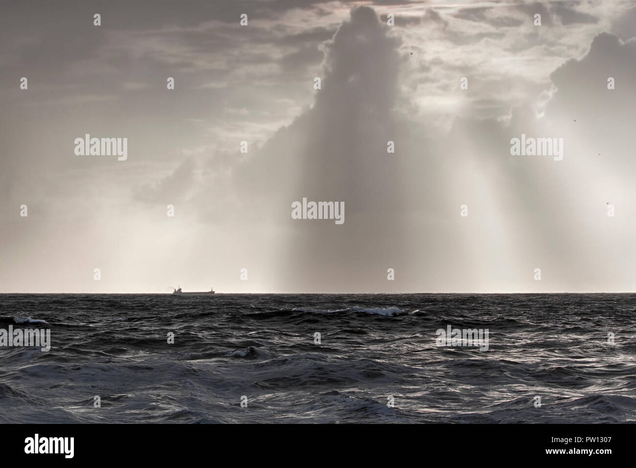 Sunbeam sunbeams horizontal black hi-res stock photography and images ...