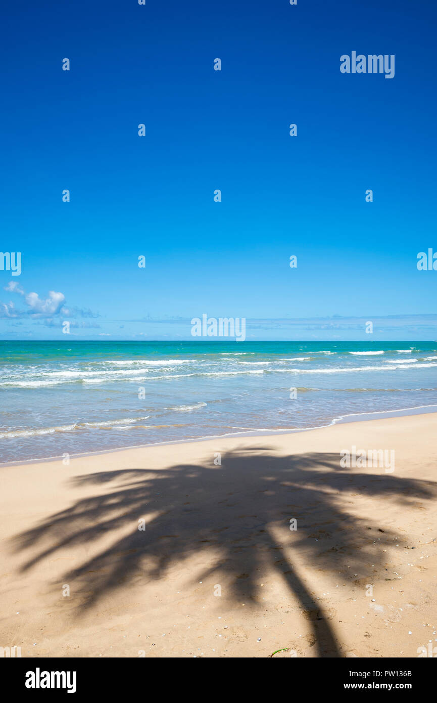 Palm tree shadow on empty shore of bright tropical beach in Bahia ...
