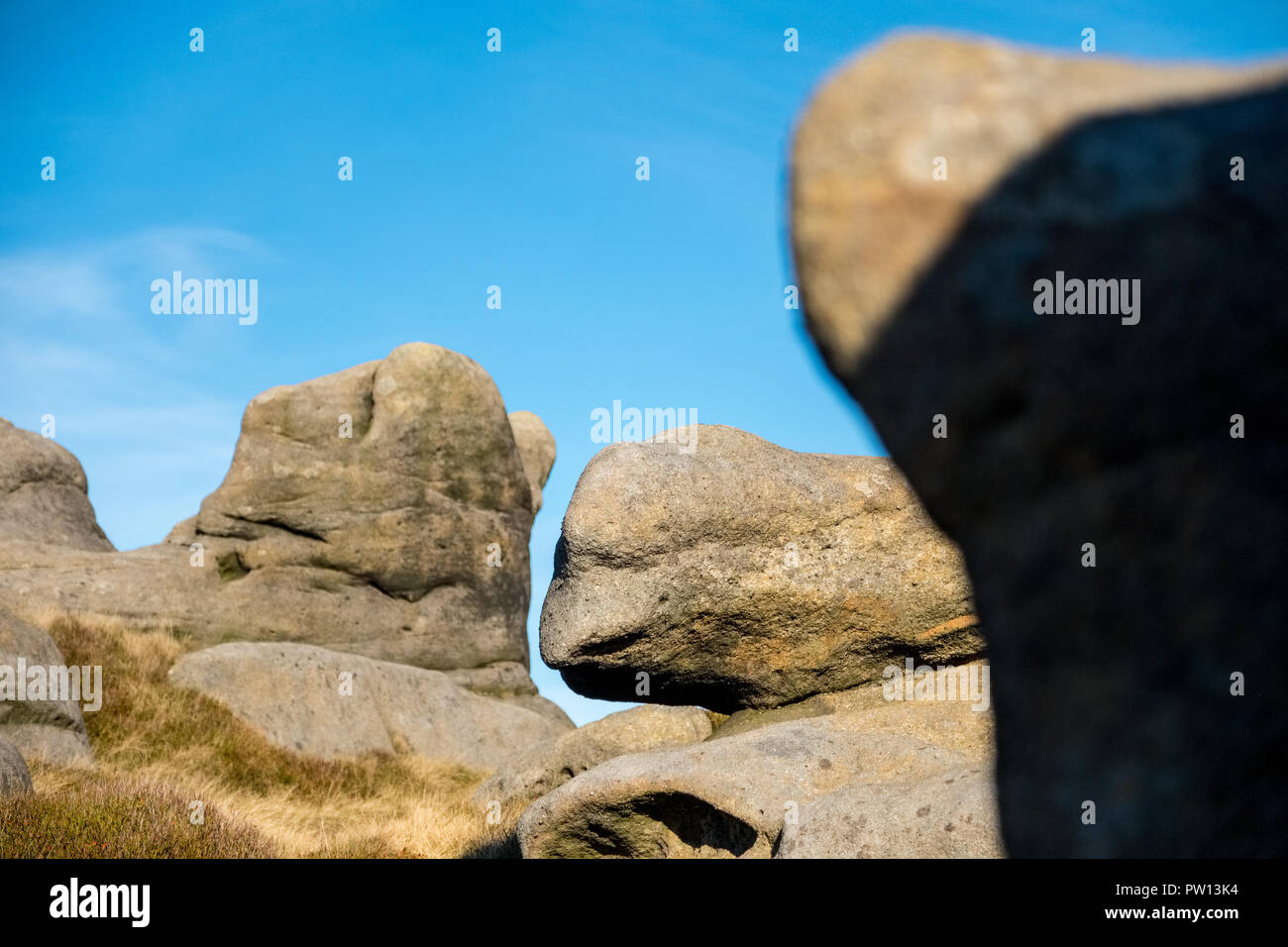 Weathered gritstone boulders at The Woolpacks on Kinder Scout in the ...