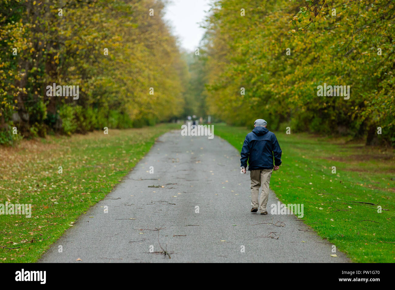 Castletown park in celbridge hi-res stock photography and images - Alamy
