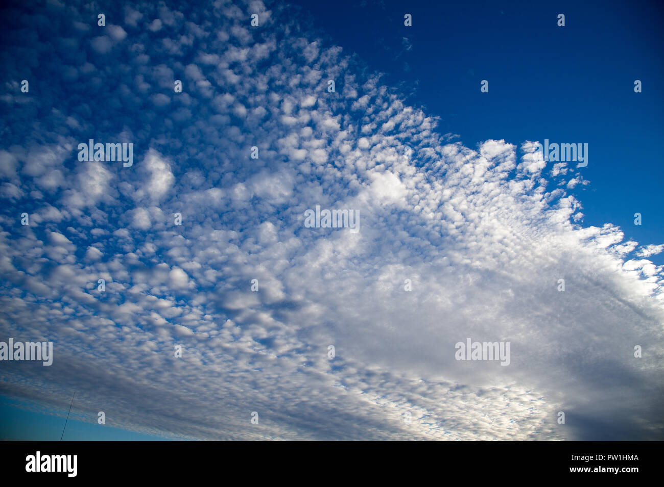 Altocumulus stratiformis perlucidus hi-res stock photography and images ...