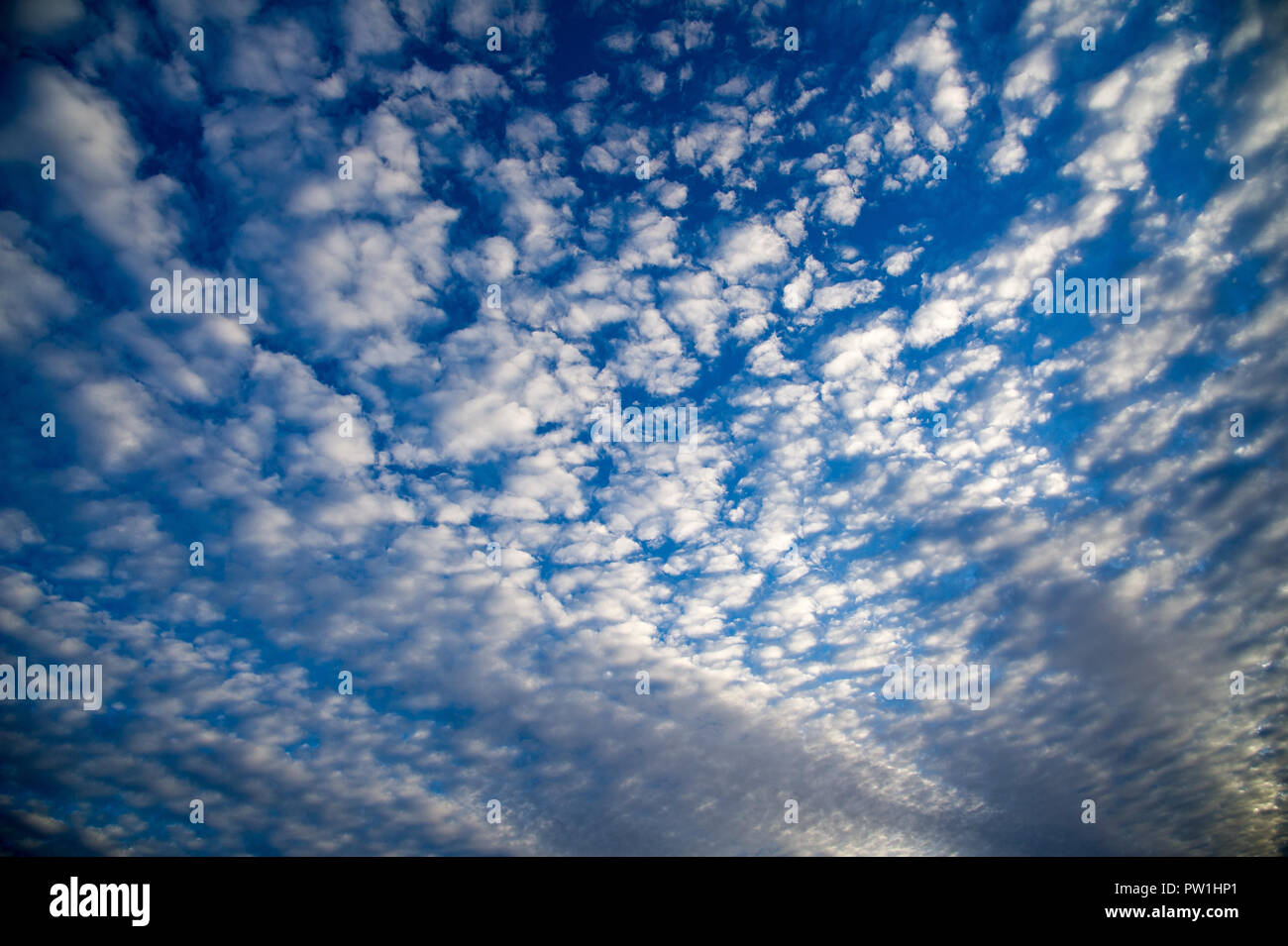 Altocumulus stratiformis perlucidus hi-res stock photography and images ...