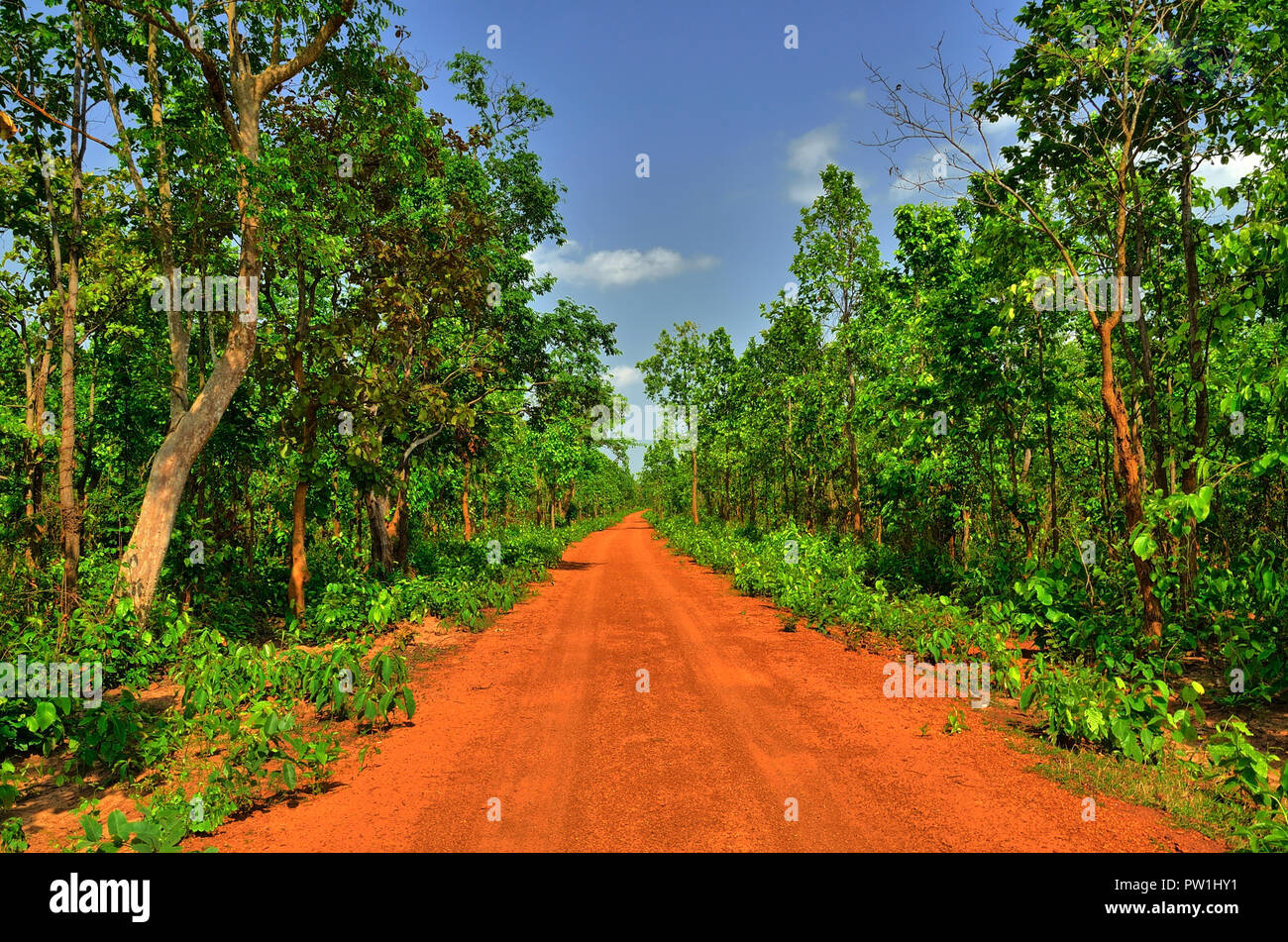 West bengal village road hi-res stock photography and images - Alamy