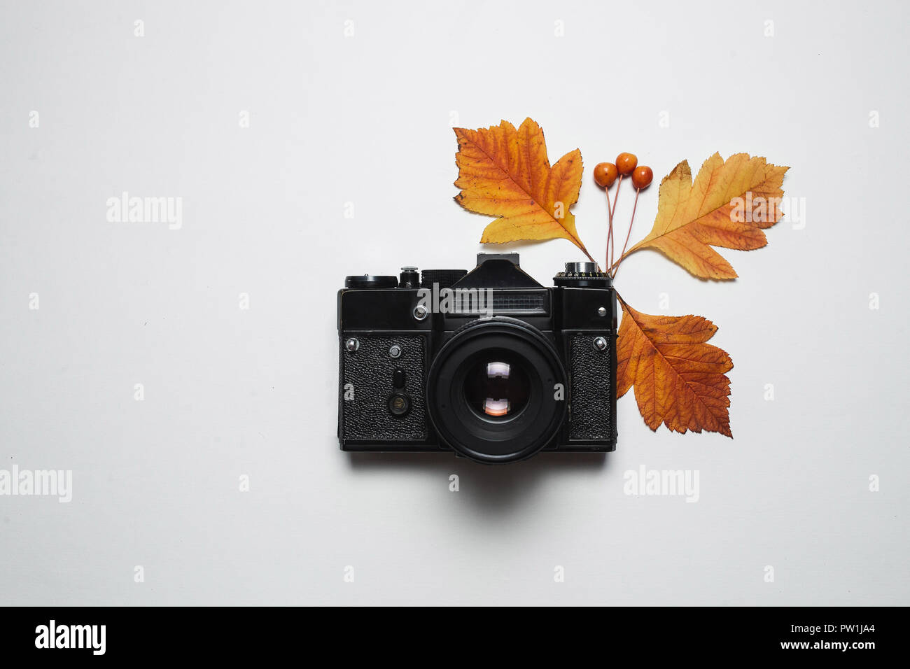 Vintage retro camera and autumn fall leaves. Flay lay, top view. Nature ...