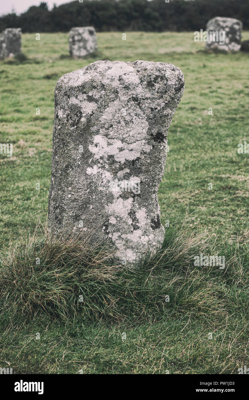 Some of the standing stones that make up the late Neolithic stone ...