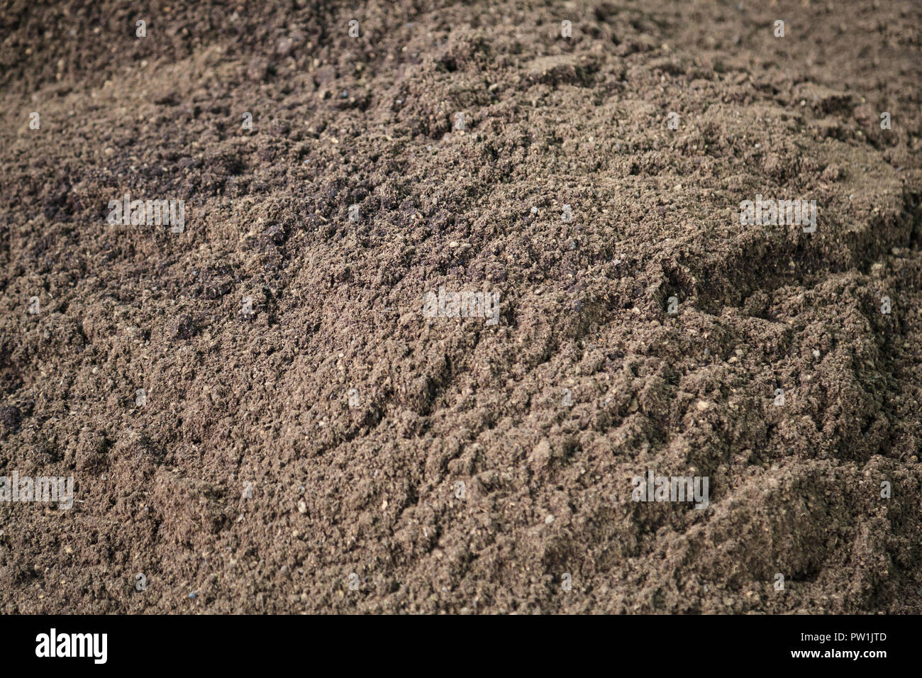 dry dark brown organic compost, manure, composed fertilizer, soil ...