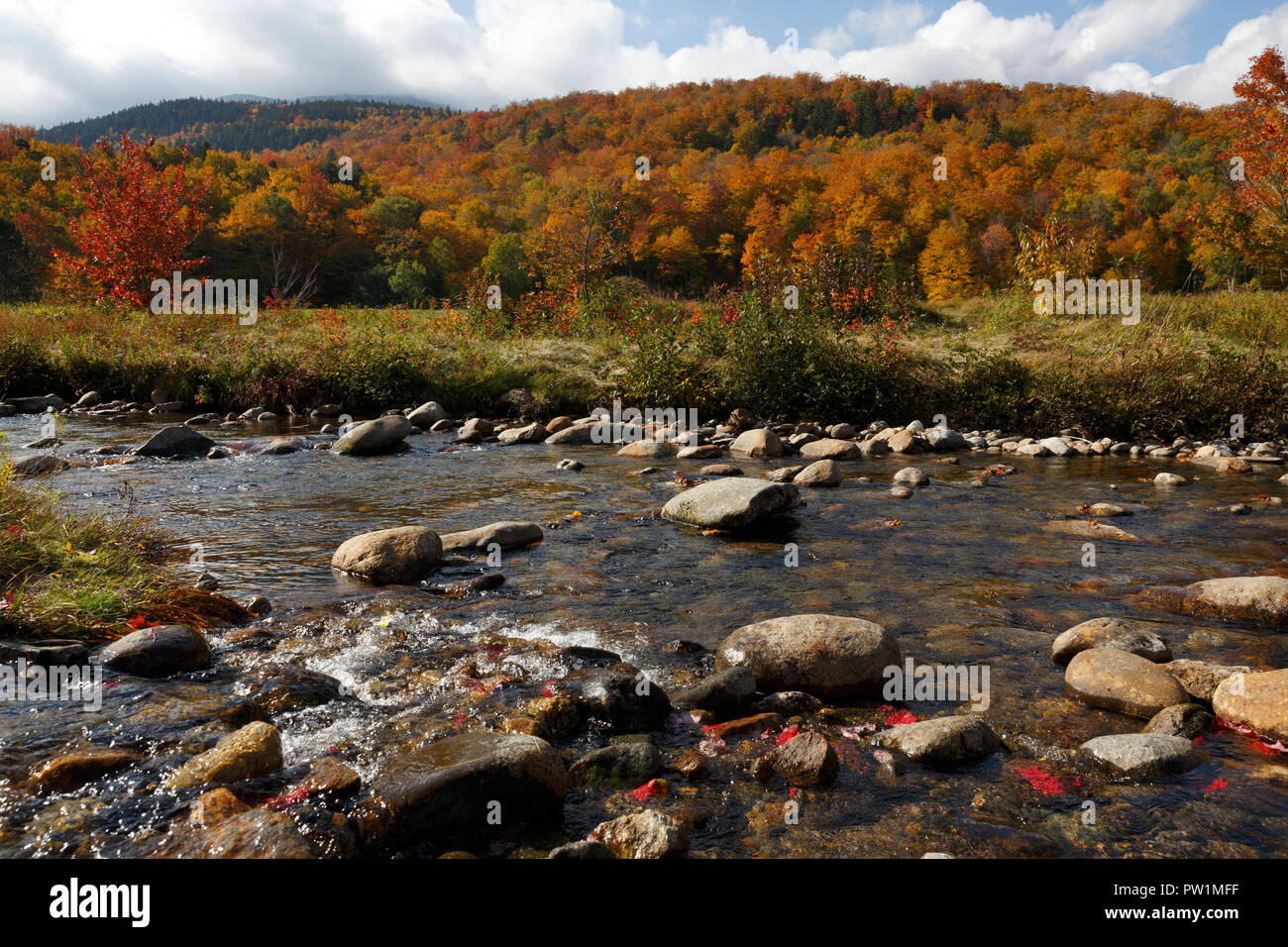 Fall Foliage, Pinckham Notch, White Mountain National Forest, New ...
