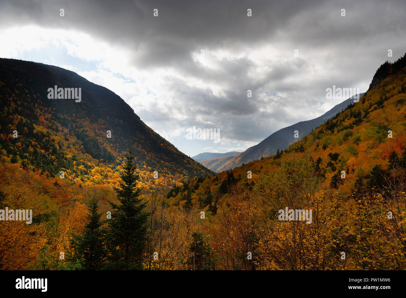 Fall Foliage, Crawford Notch, White Mountain National Forest, New ...