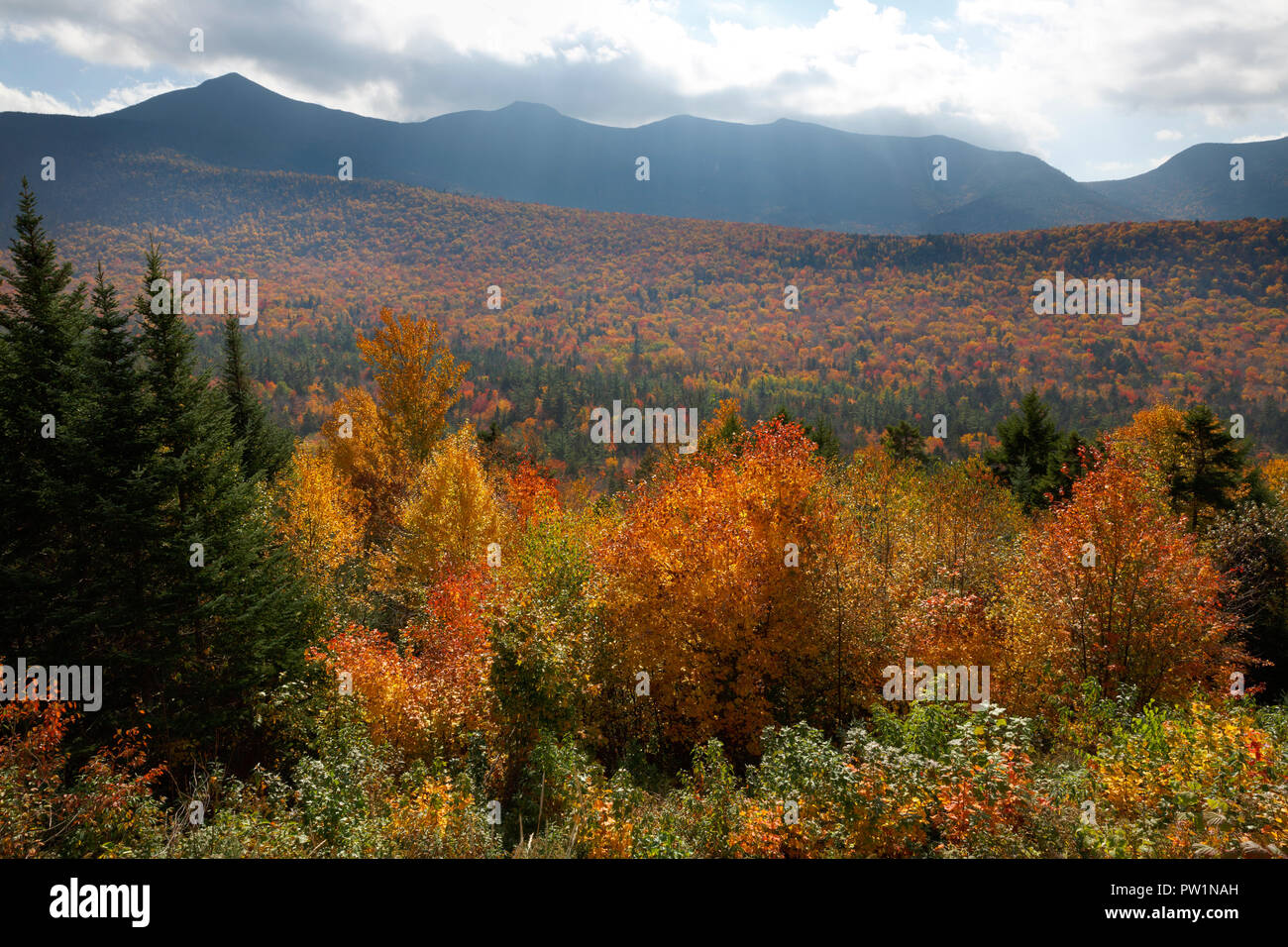 Scenic view of fall foliage on the Kancamagus Highway, White Mountain ...