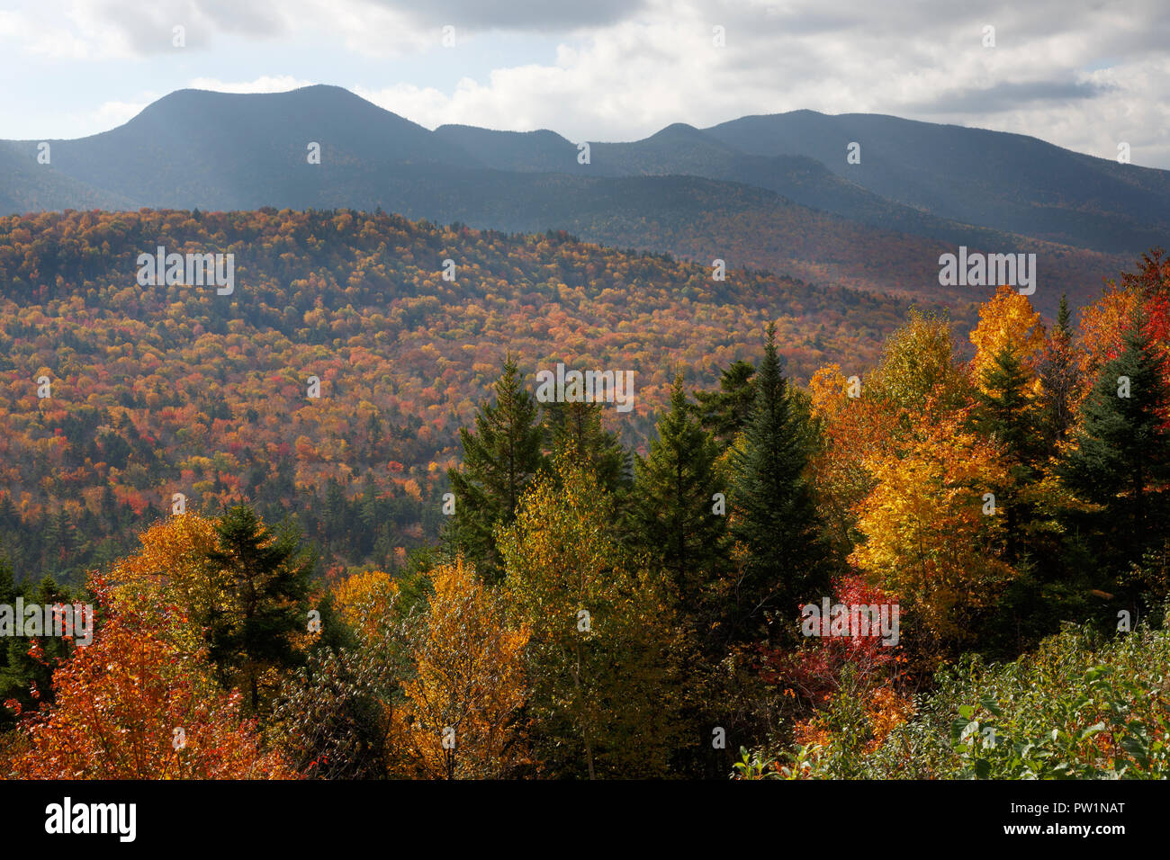 Scenic view of fall foliage on the Kancamagus Highway, White Mountain ...