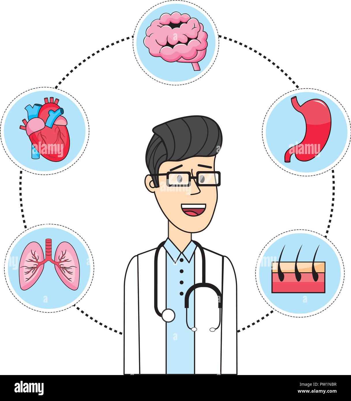 Doctor cartoon and organs Stock Vector Image & Art - Alamy