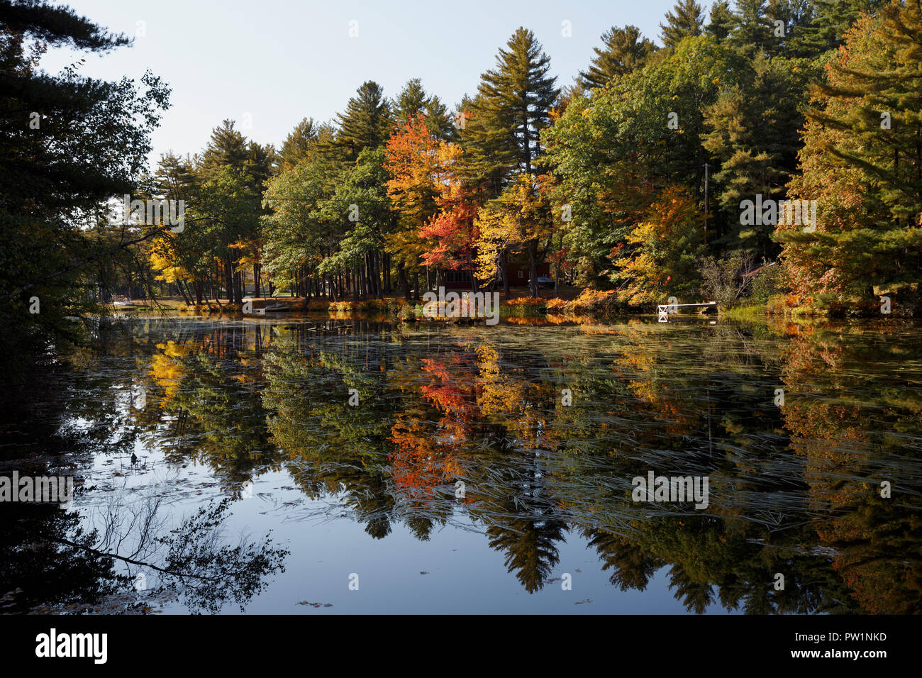 Fall foliage Thompson Lake, Oxford, Maine, USA Stock Photo - Alamy