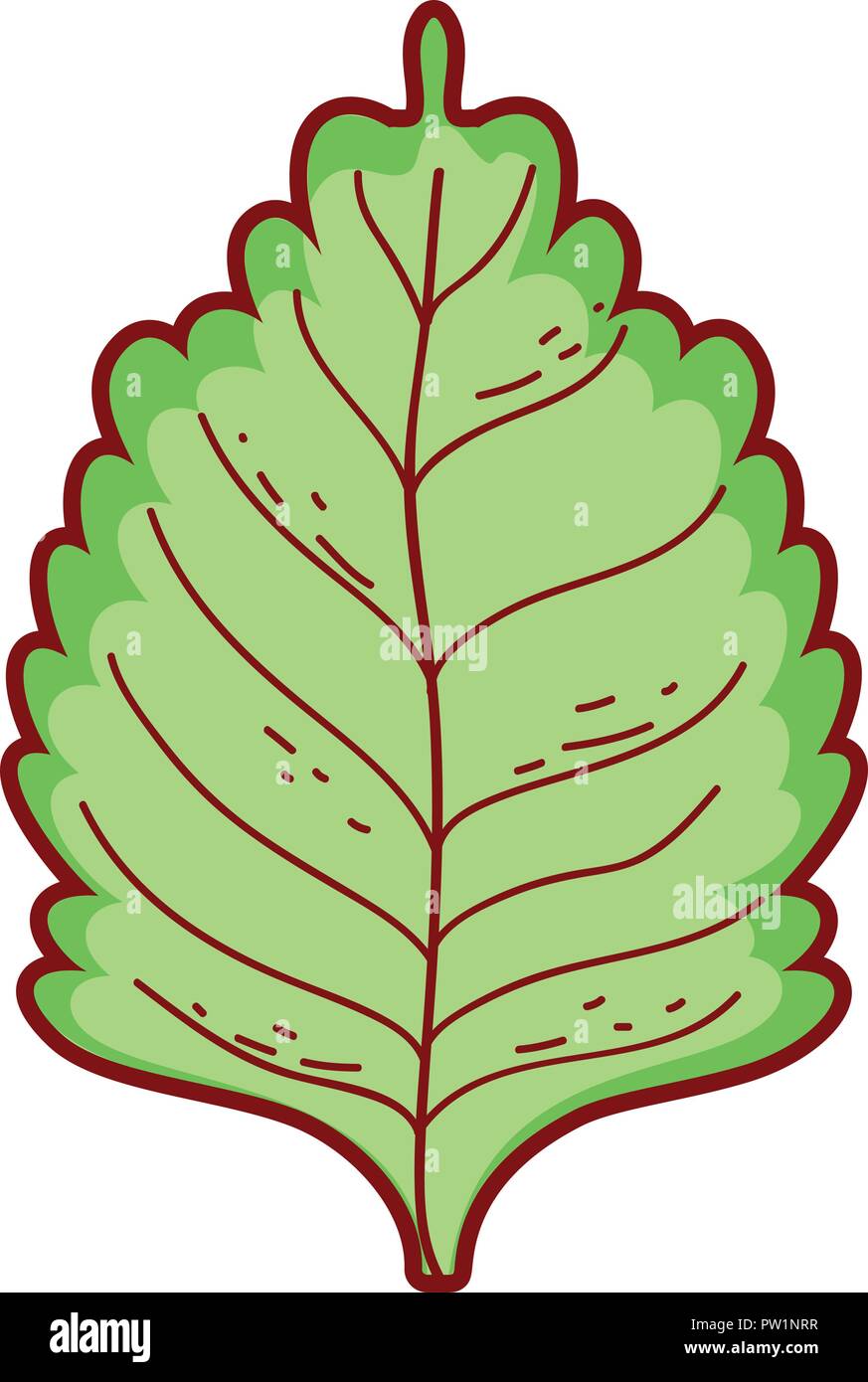 Leaf nature drawing Stock Vector Image & Art - Alamy