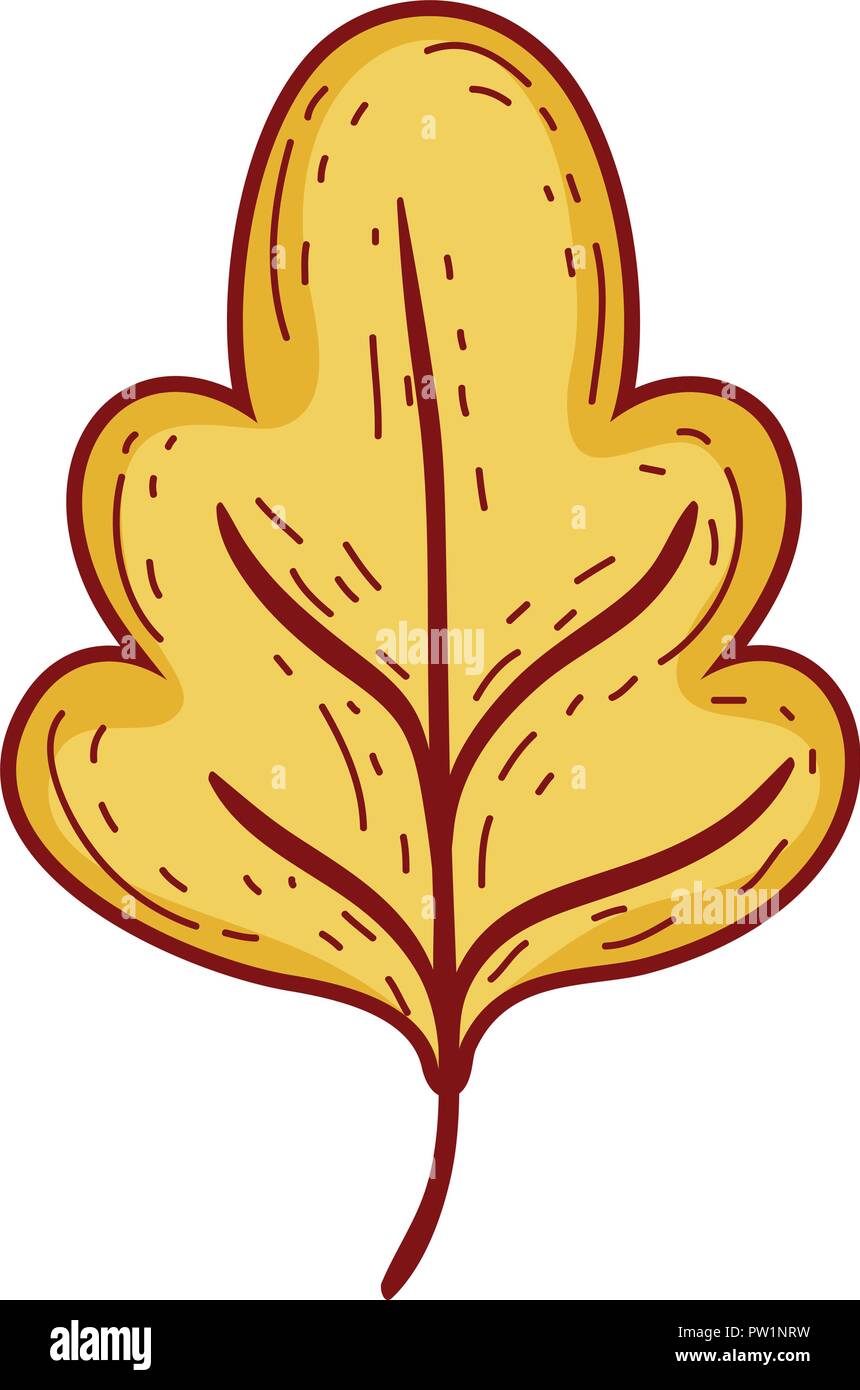 Leaf nature drawing Stock Vector Image & Art - Alamy