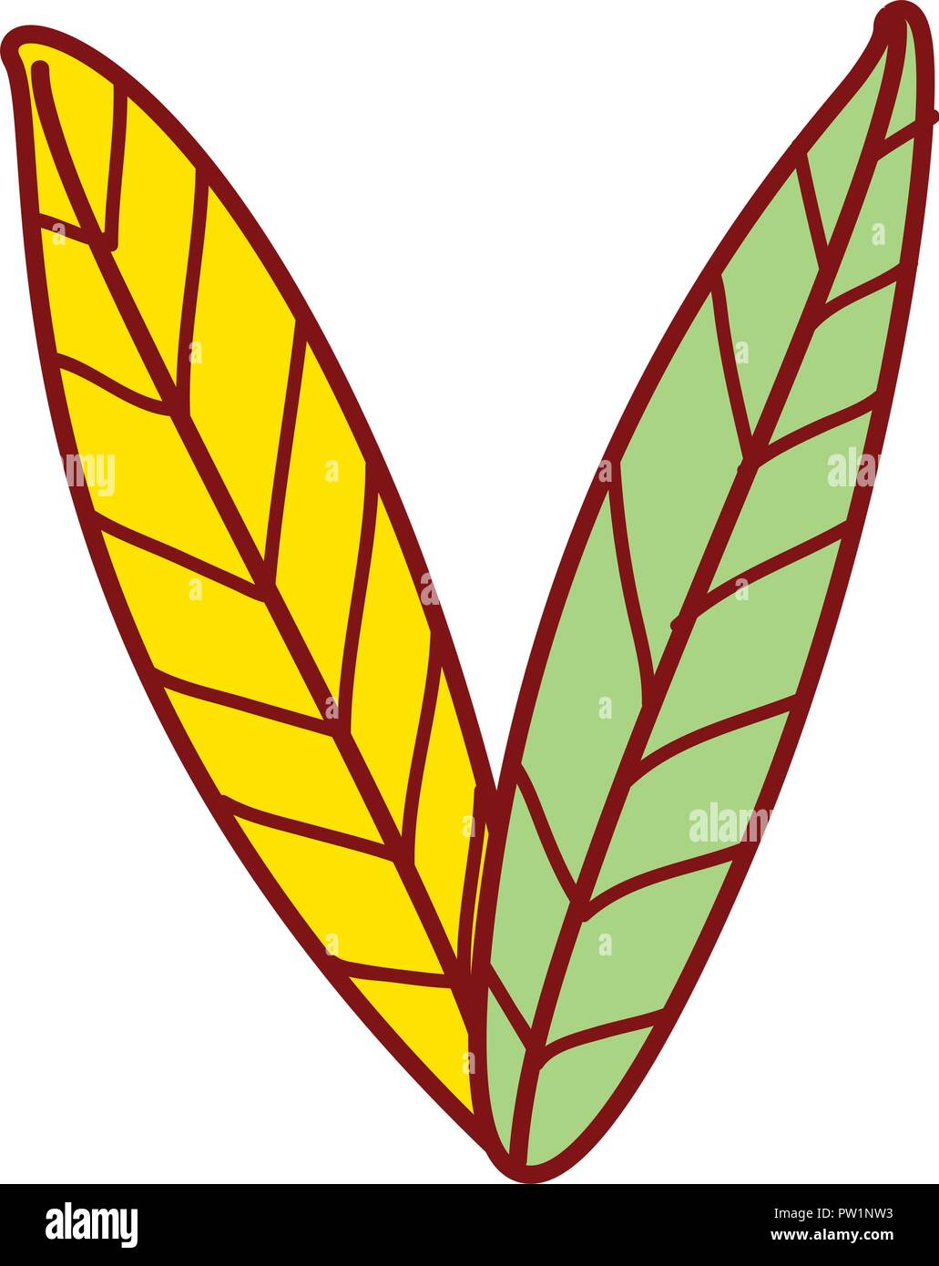 Leaf nature drawing Stock Vector Image & Art - Alamy
