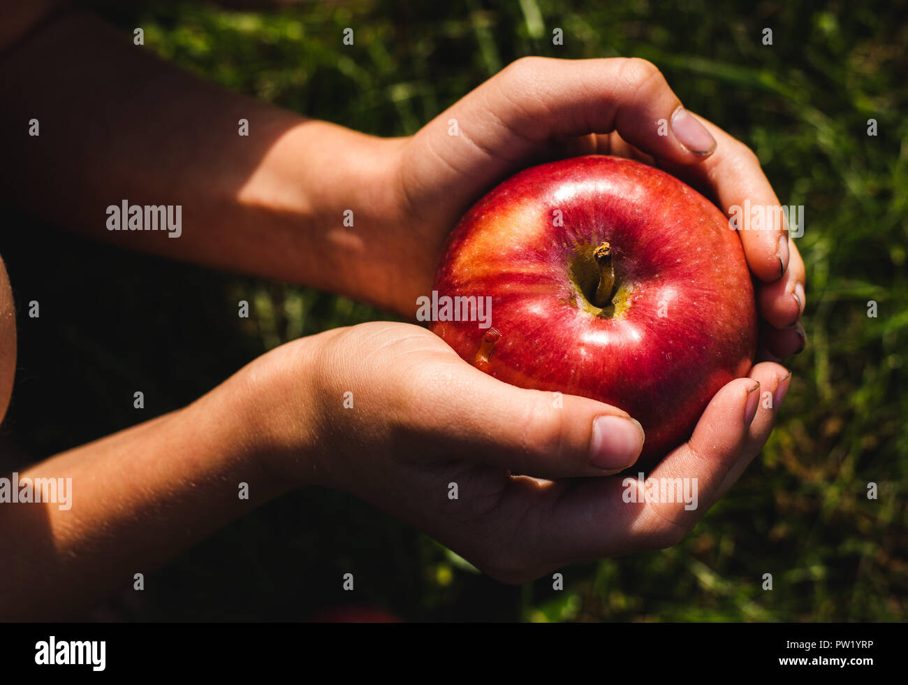 Apples over grass hi-res stock photography and images - Alamy