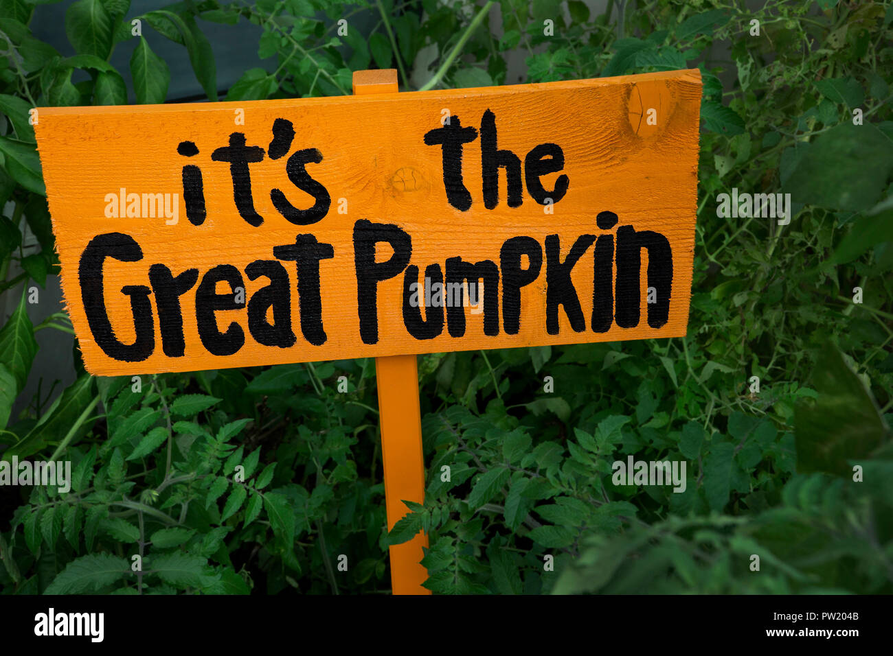 Peanuts comic strip hi-res stock photography and images - Alamy