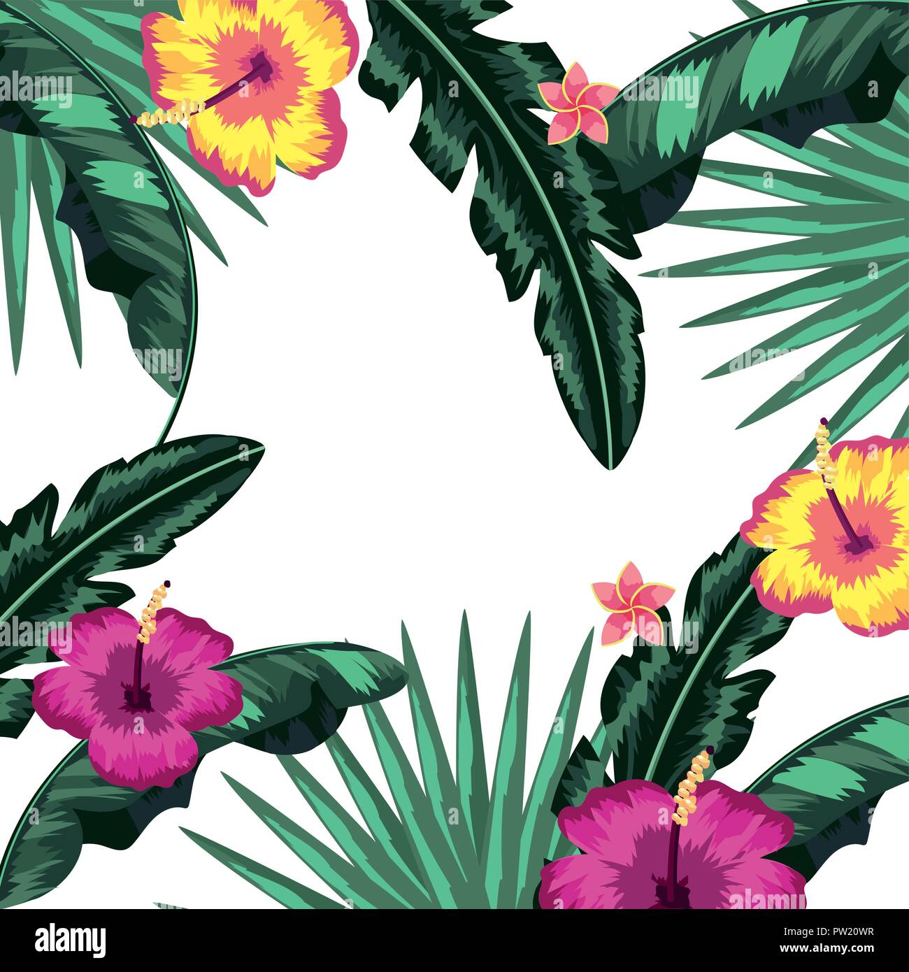 Tropical flowers background Stock Vector Image & Art - Alamy
