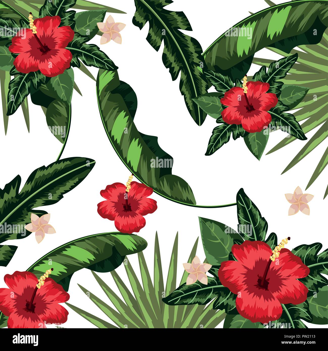 Tropical flowers background Stock Vector Image & Art - Alamy