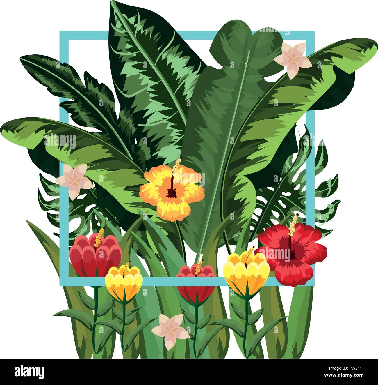 Tropical flowers frame Stock Vector Image & Art - Alamy