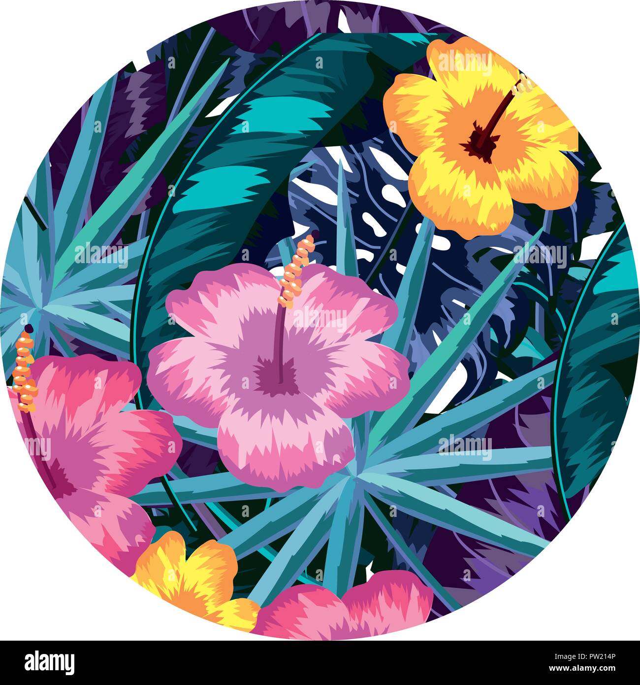 Tropical flowers frame Stock Vector Image & Art - Alamy