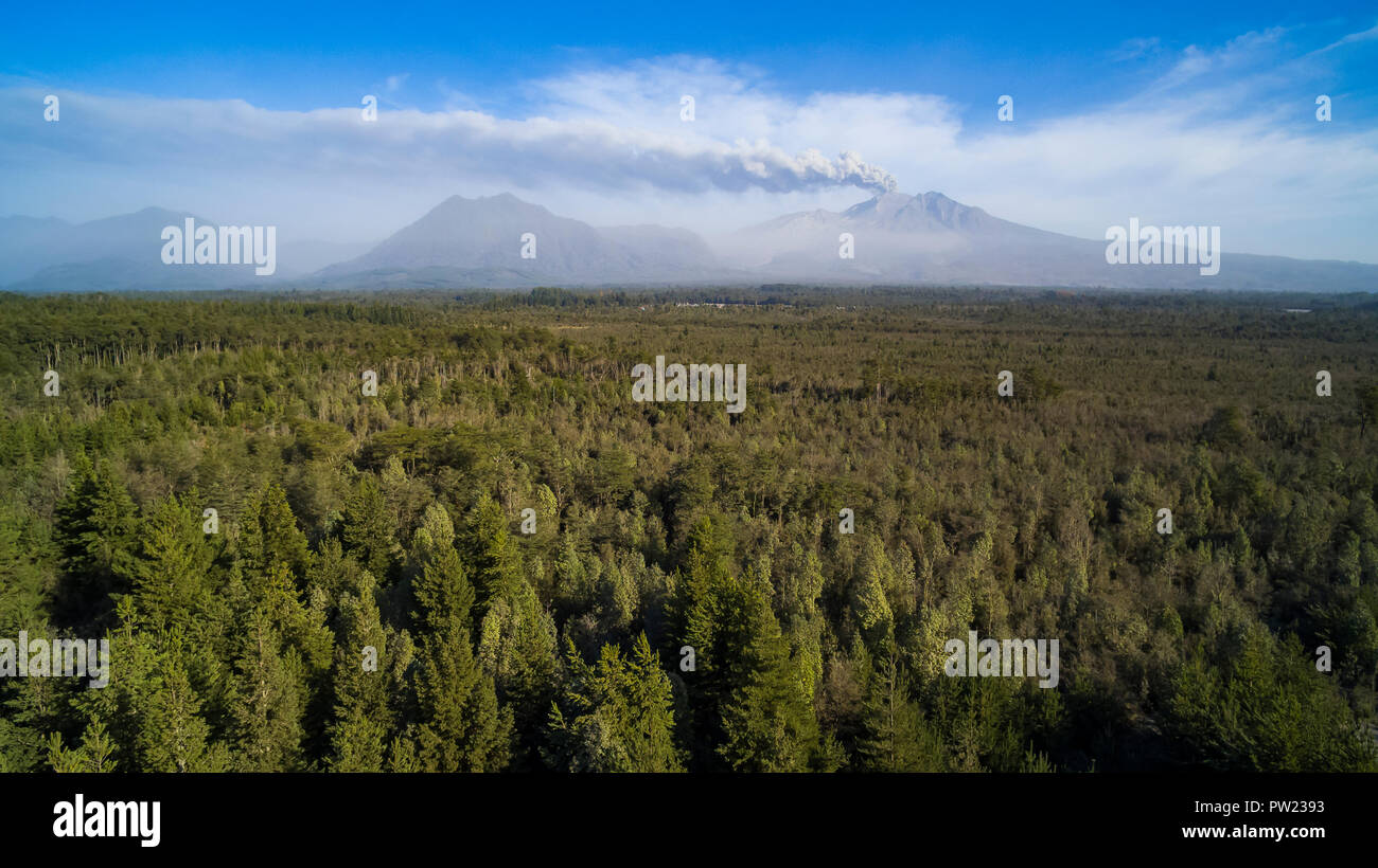 Fields and native forests covered lightly with volcanic ash and in the ...