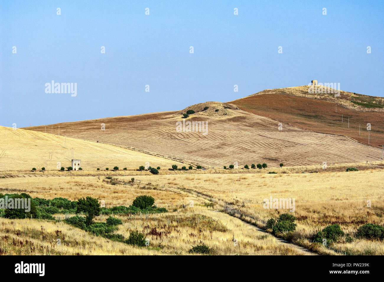 Agricultural land in the rural area near Corleone, Sicily, featuring a ...