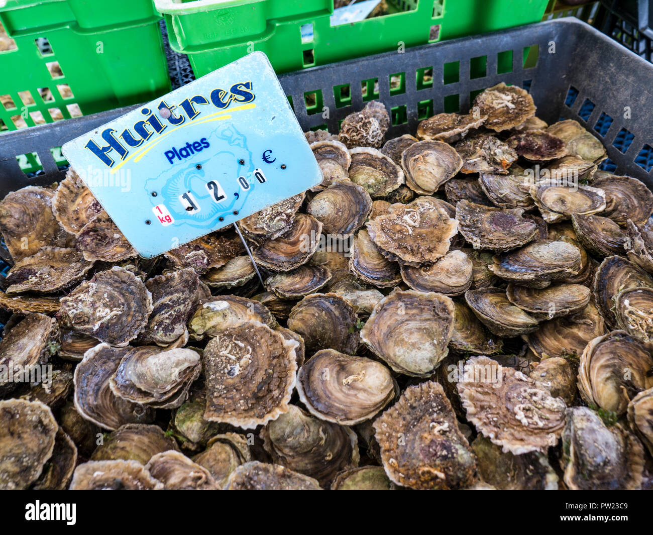CONCARNEAU BELON OYSTERS INDOOR FISH MARKET HUITRES BELON flat oysters ...