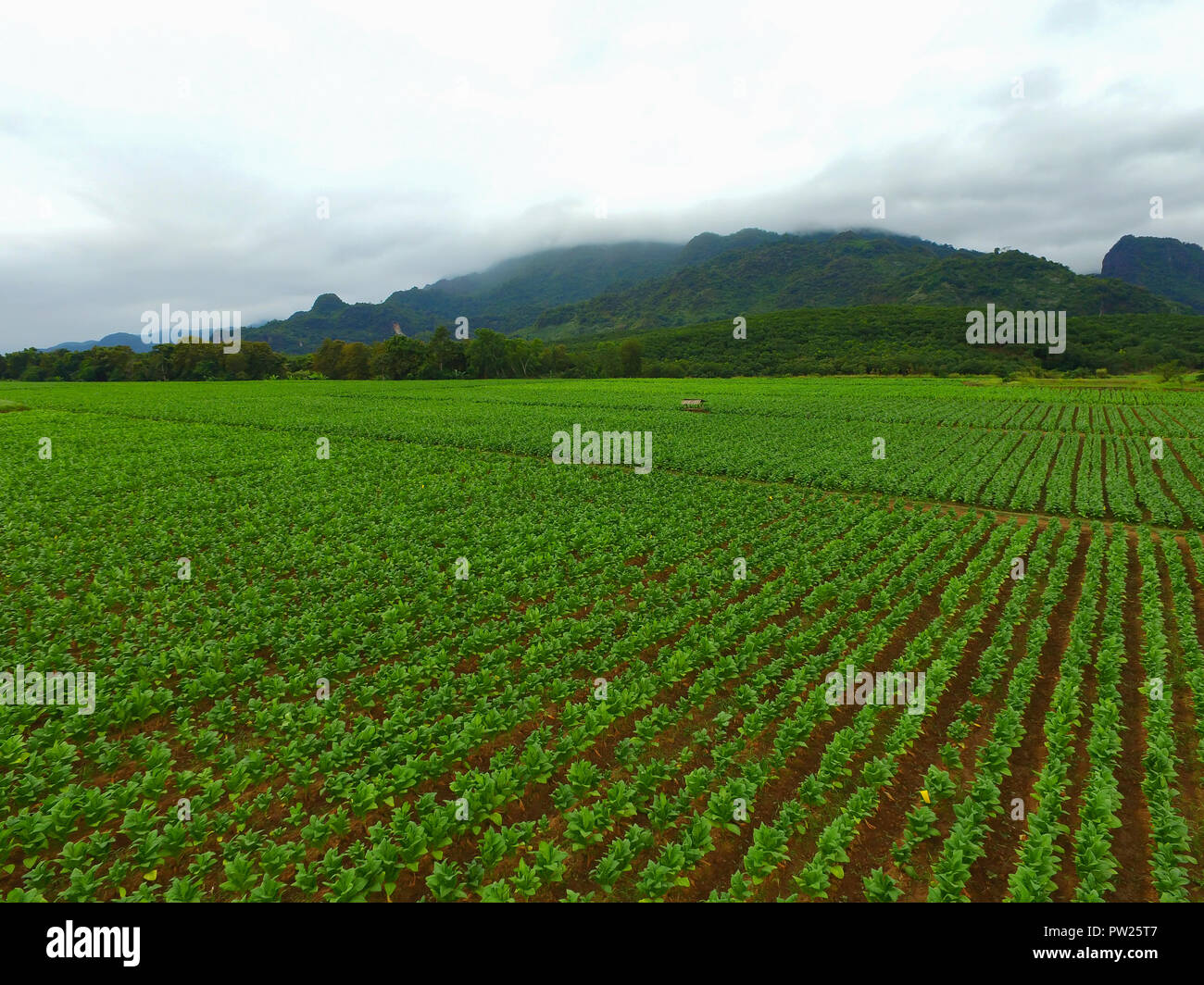 0069 hi-res stock photography and images - Alamy