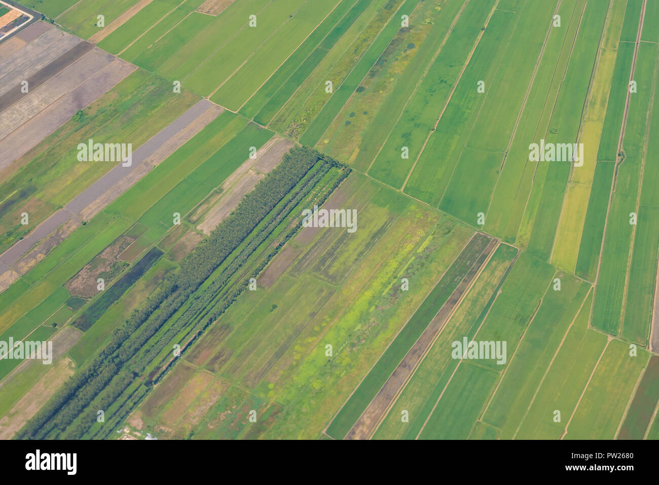 Rice field pattern when view from airplane window Stock Photo - Alamy
