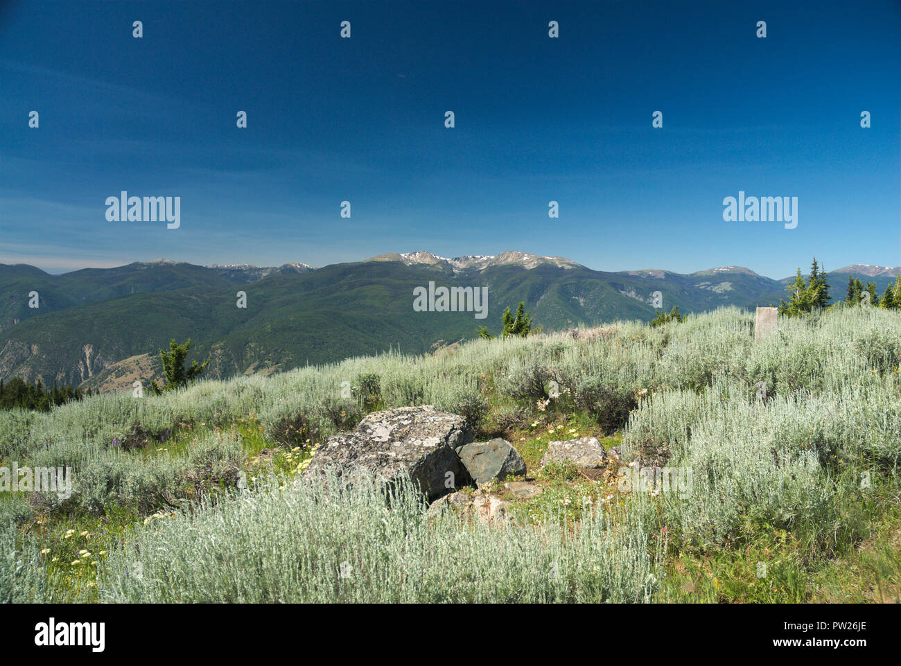 Meadow grasslands hi-res stock photography and images - Alamy