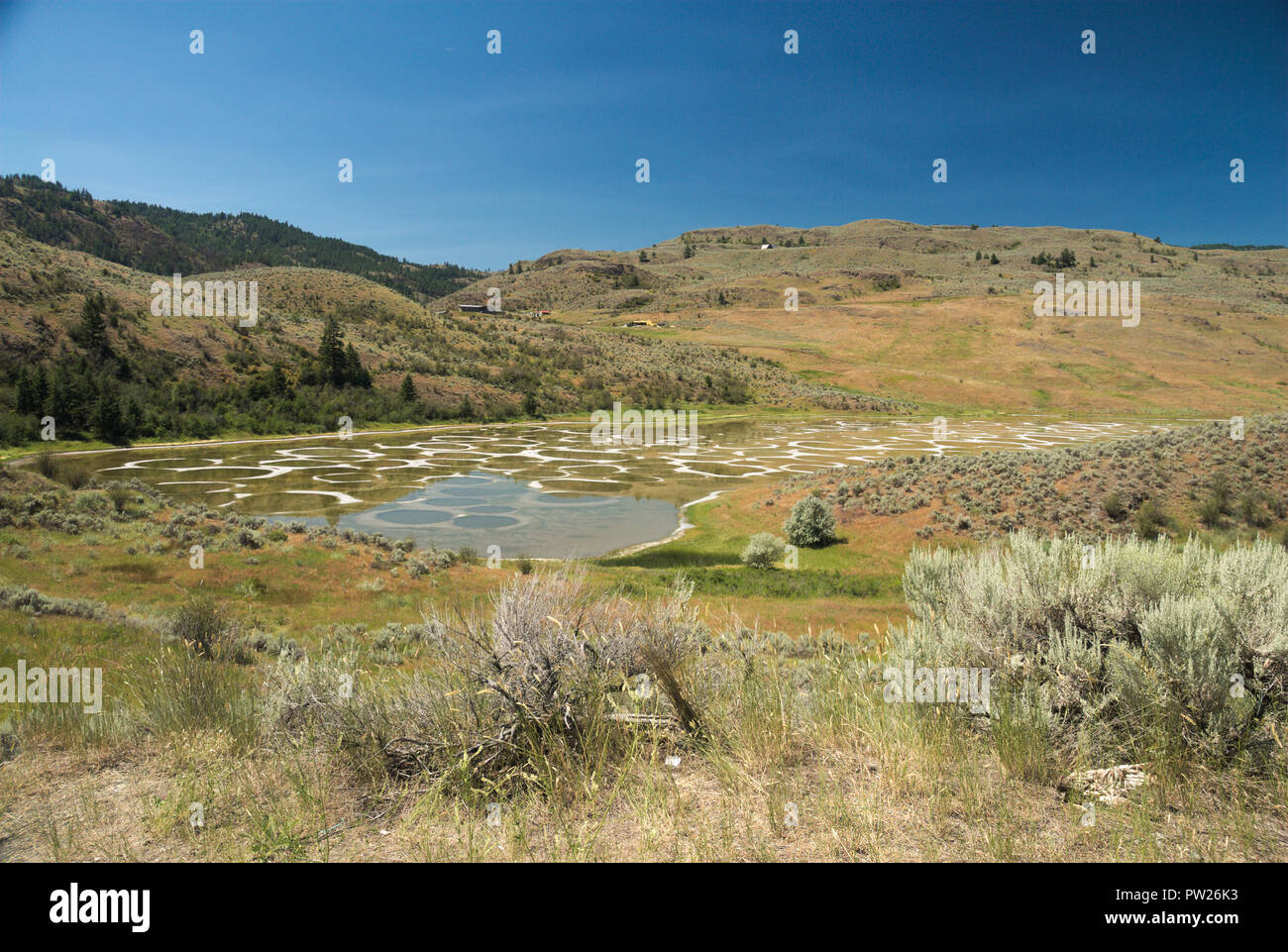 Spotted Lake near Osoyoos, British Columbia, Canada Stock Photo - Alamy