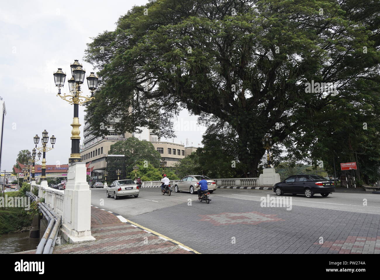tropical tree at bridge across Kinta River in Ipoh, Malaysia Stock ...