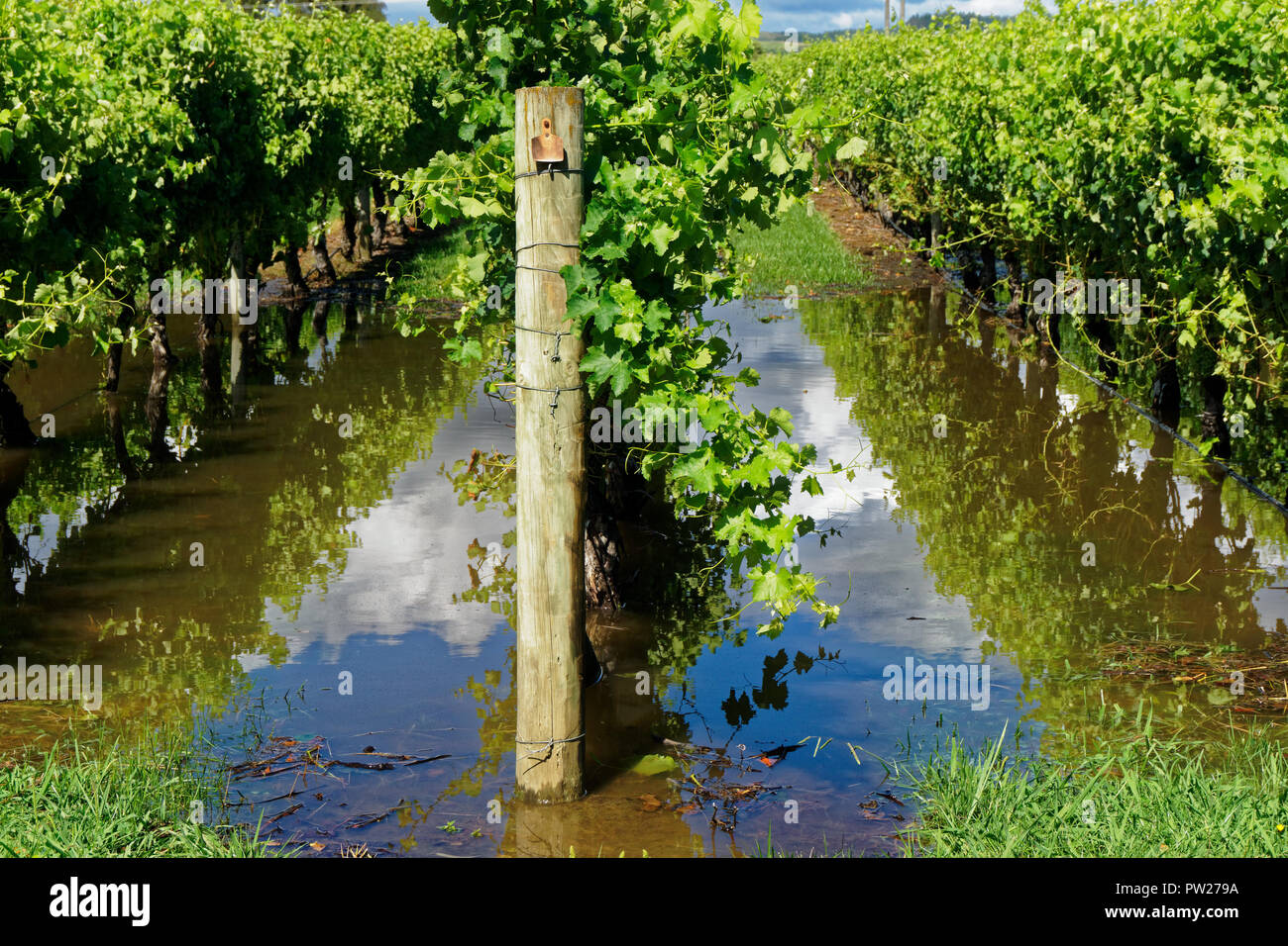 Tantalized timber hi-res stock photography and images - Alamy