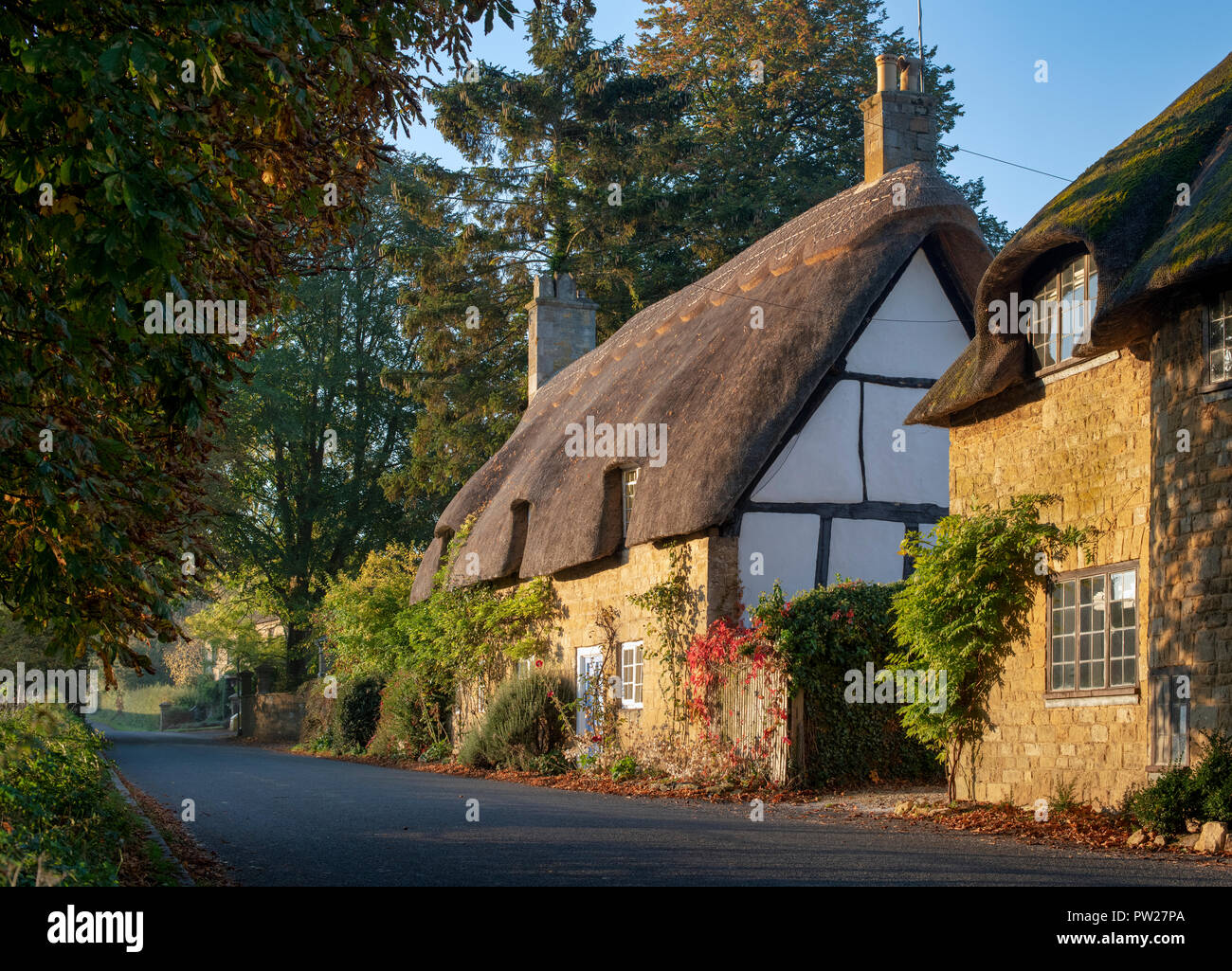Traditional timber framed thatch cottages in hi-res stock photography ...